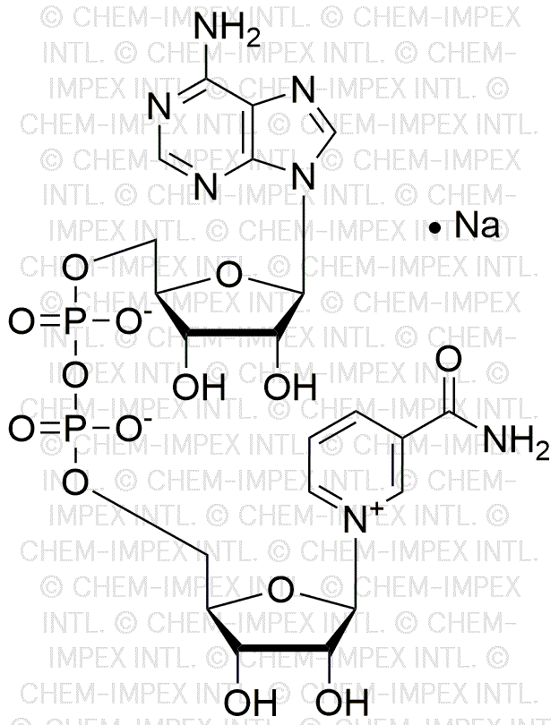 Dinucleotide Structure Premium Vector | Flavin Adenine Dinucleotide